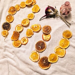 Orange Garland, IMPERFECT, Grapefruit Garland, Dried Citrus, Natural ...