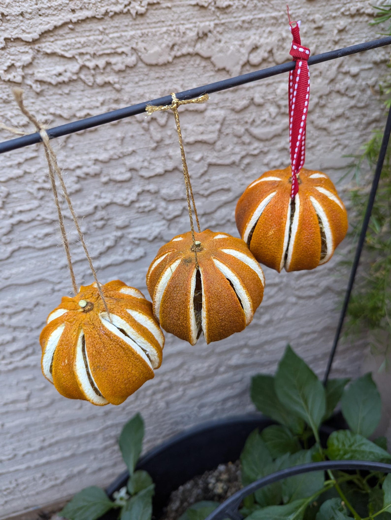 Dried Orange Ornaments, Whole Slit Fruit, Pomander, Holiday Decor ...