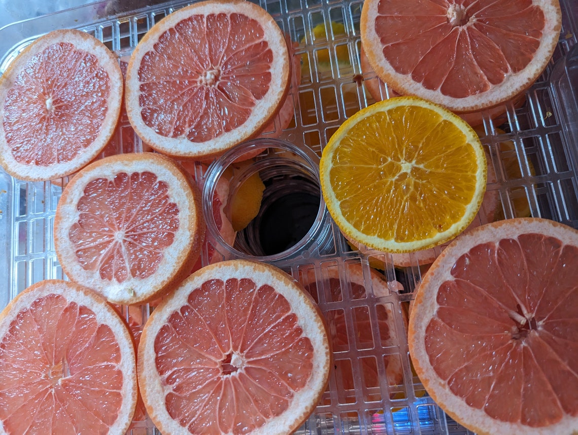 BULK ORDER Citrus Garland, Dried, Hand Strung, Options: Lemon, Lime ...