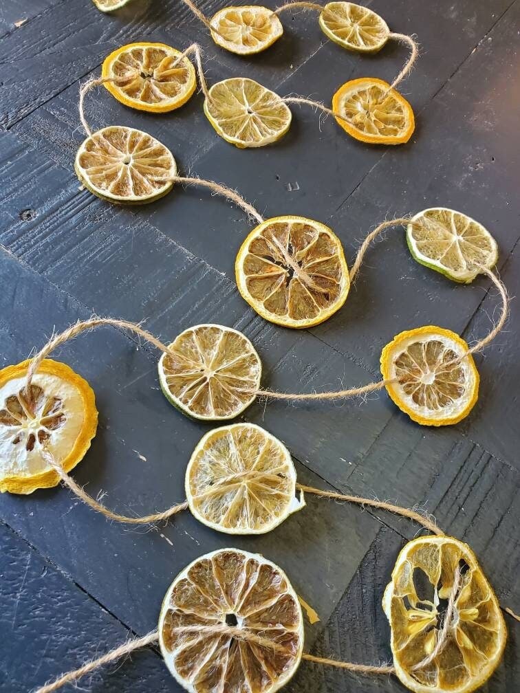 Lemon Lime Citrus Garland, Natural Fall Autumn Home Decor, Dried Citrus ...