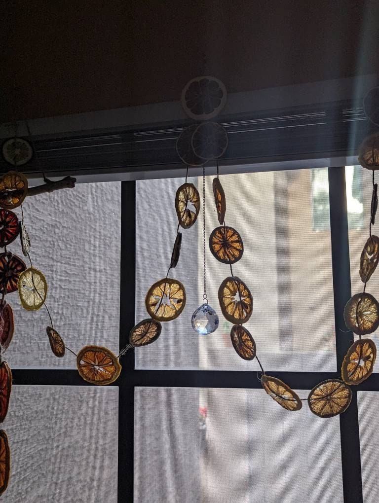 Lemon Lime Citrus Garland, Natural Fall Autumn Home Decor, Dried Citrus ...