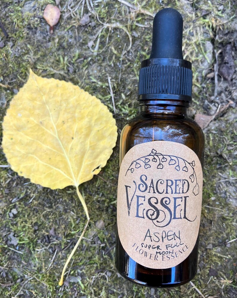 Aspen "fearless" Tree Essence ~ New Mexico - Etsy