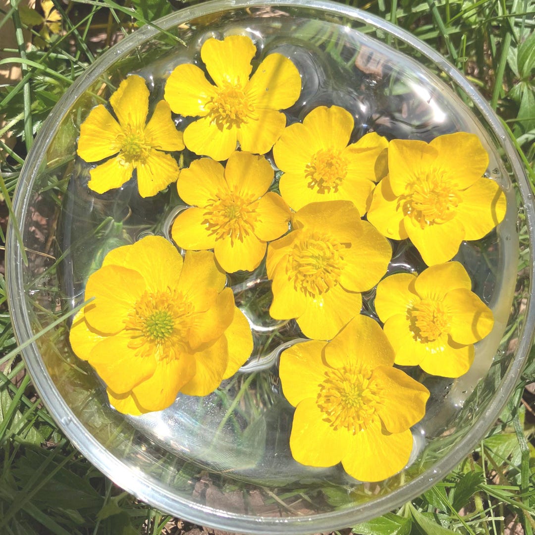 Buttercup Flower Essence: Confidence & Self-worth - 1oz - Etsy