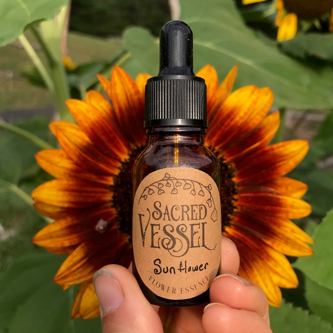 Sunflower "soul Radiance" Flower Essence - Etsy