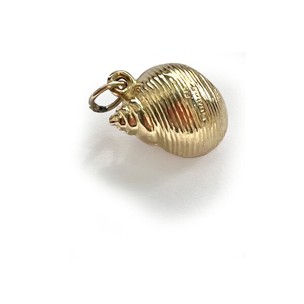 Periwinkle Shell - Etsy