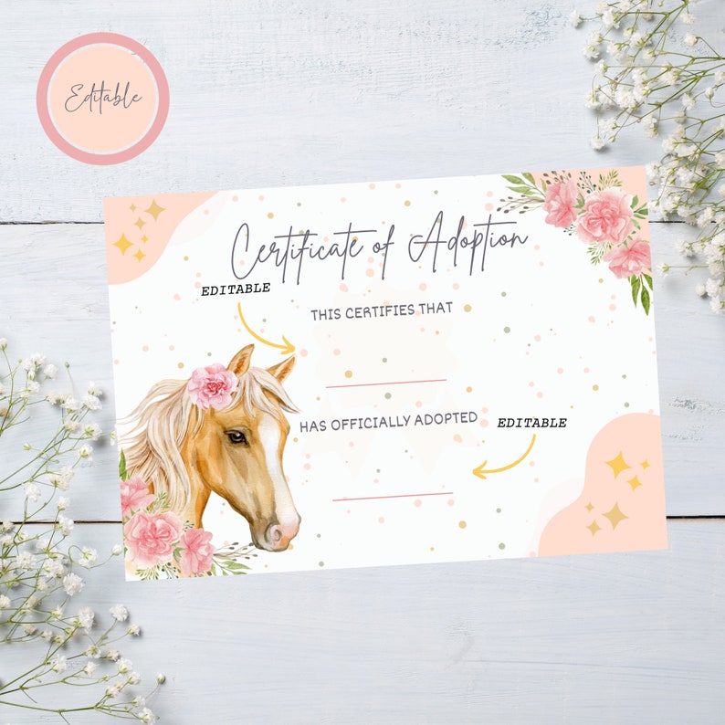 Horse Adoption Certificate | Adopt a Pony | Editable Template - Etsy UK