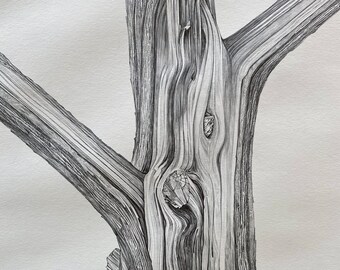 Real Tree Art - Etsy