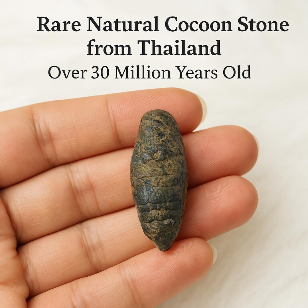 Rare Natural Cocoon Stone From Thailand • Over 30 Million Years Old ...