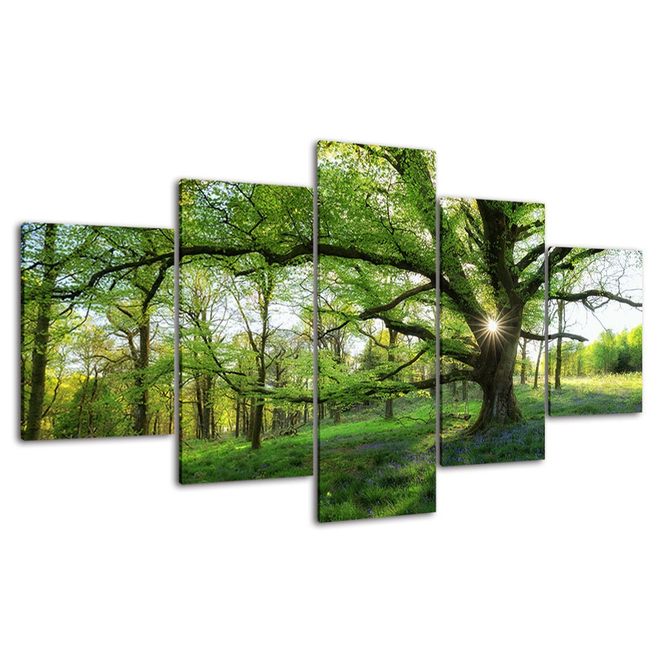 Green Forest Trees Nature Rainforest Sunshine Ray Canvas 5 Piece Five ...