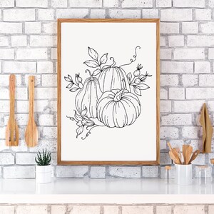 Pumpkin Line Art, Pumpkin SVG & PNG Clipart, Halloween Pumpkins Line ...