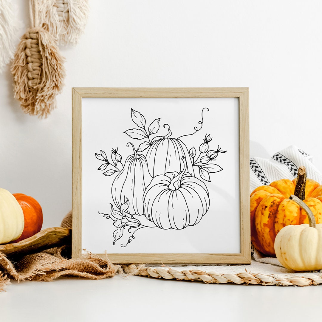 Pumpkin Line Art, Pumpkin SVG & PNG Clipart, Halloween Pumpkins Line ...