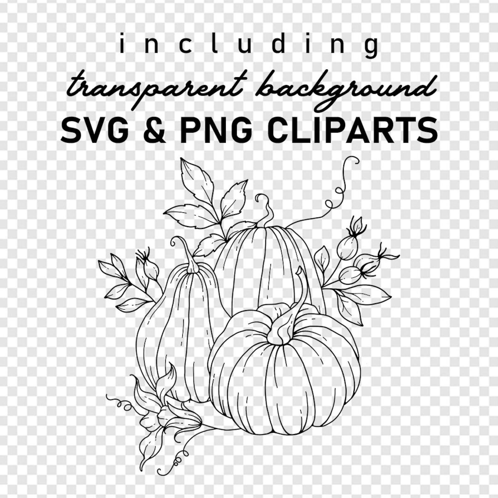 Pumpkin Line Art, Pumpkin SVG & PNG Clipart, Halloween Pumpkins Line ...