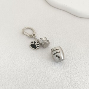 Custom Cremation Urn Keychain, Personalized Pet Urn Keychain, Cat Dog ...