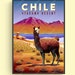 Chile Poster, Chile Travel Print, Chile Wall Art, Llama Atacama Desert ...