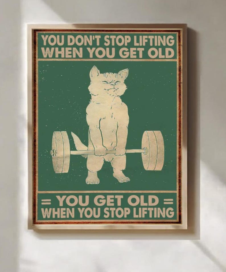 Funny Cat Gym Poster Print, Motivational Fitness Wall Art, Home Gym ...