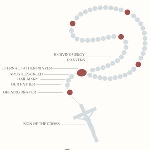 How to Pray the Divine Mercy Chaplet - Etsy