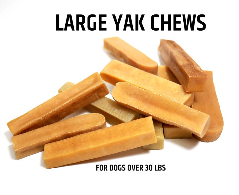 Large Yak Cheese Chews for Dogs: Long Lasting Natural Treats for Dogs ...