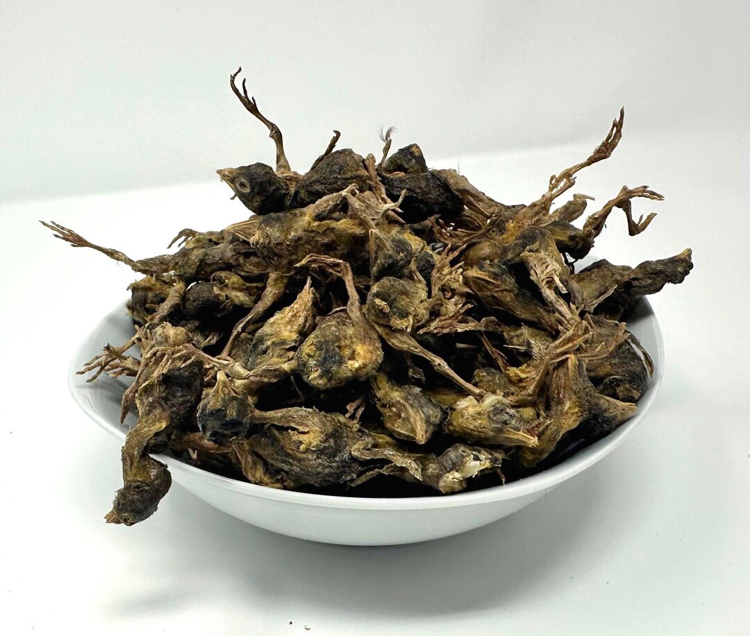 Freeze Dried Quail Treats – Single Ingredient, Grain-free, High-protein ...