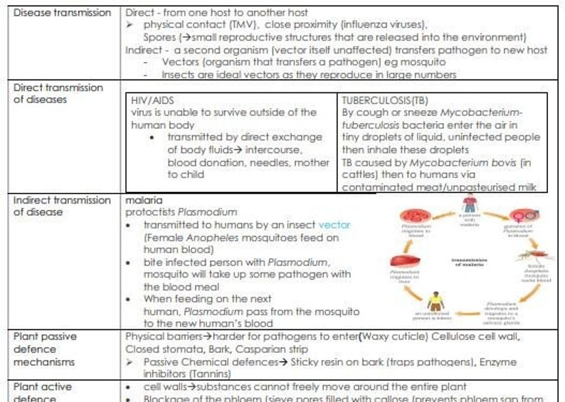 Communicable Disease and Immunity OCR A Level Biology Digital Notes - Etsy