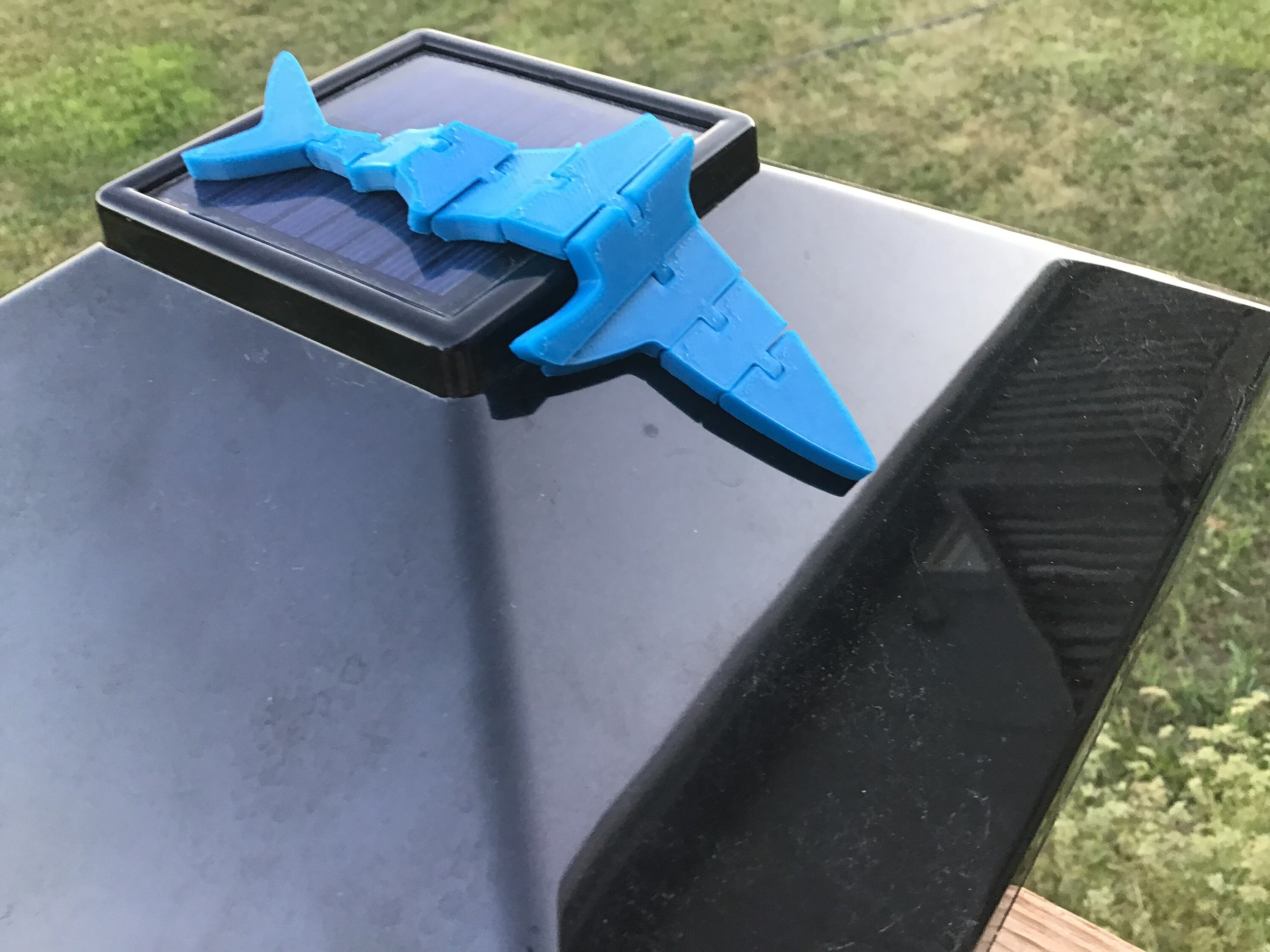 3D Printed Flexible Shark - Etsy