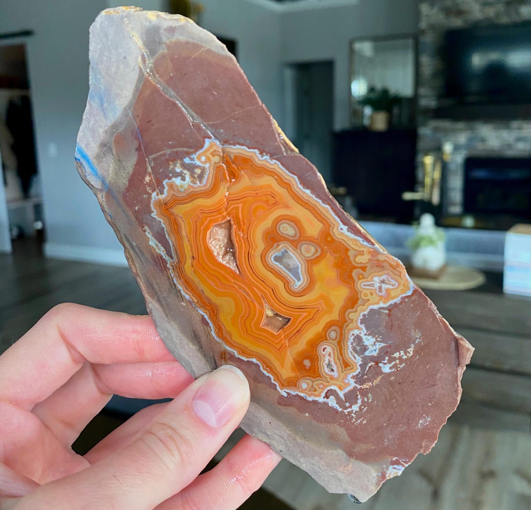 Beautiful Montana Dryhead Agate Slab - Etsy
