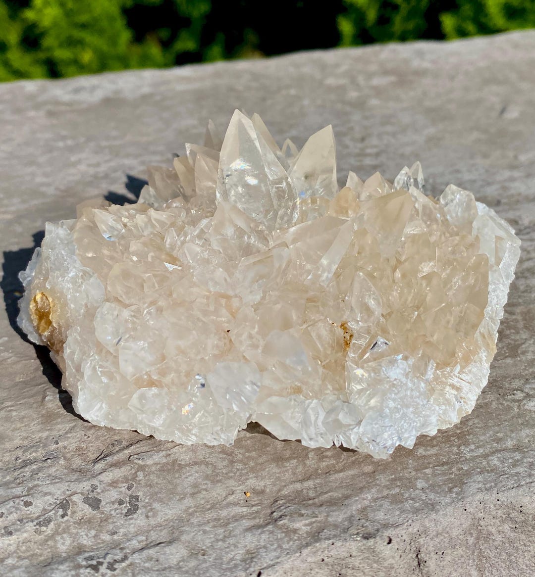 Clear Dogtooth Calcite Cluster - Etsy