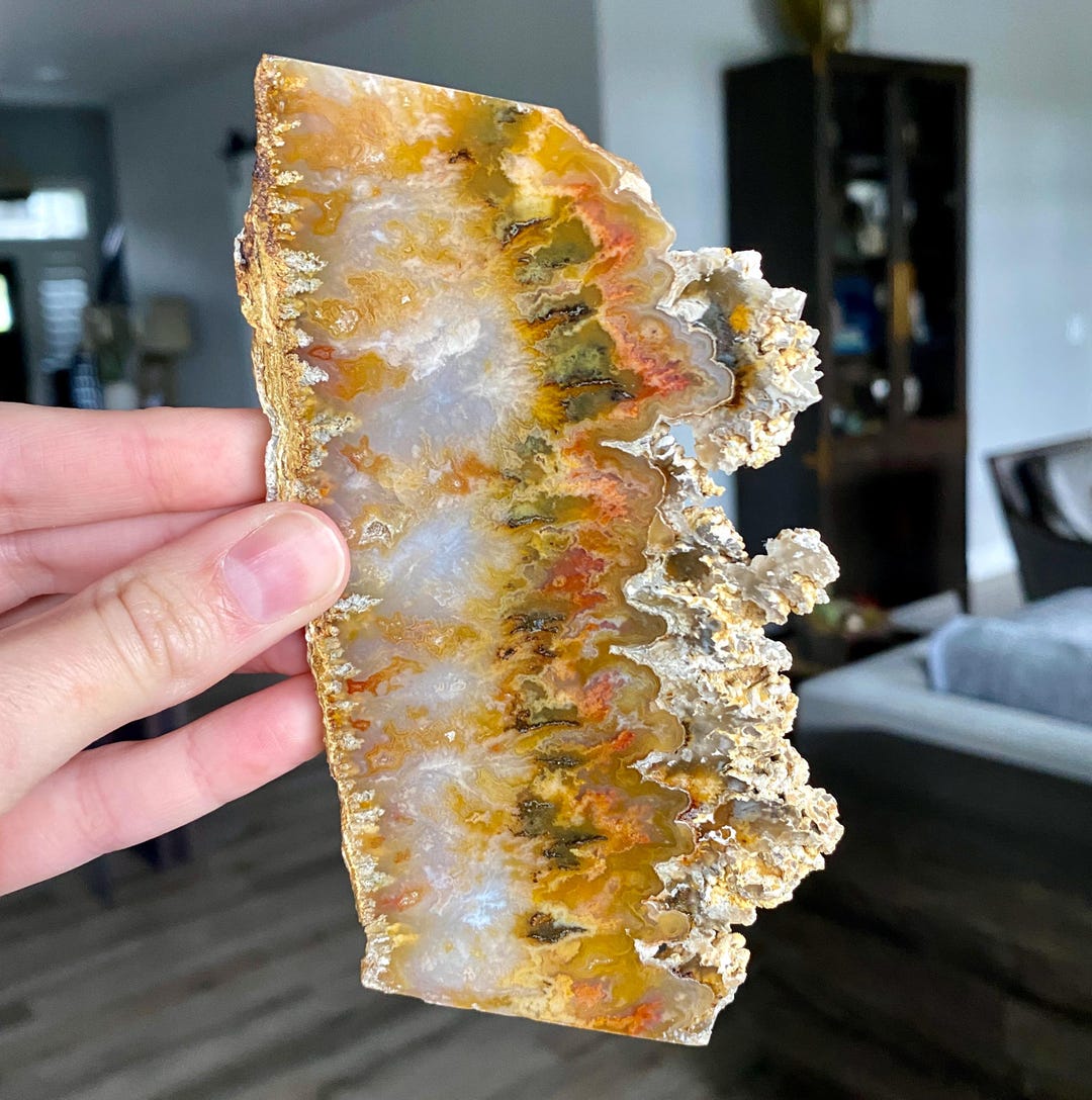 RARE Colorful Graveyard Point Plume Agate Slab - Etsy