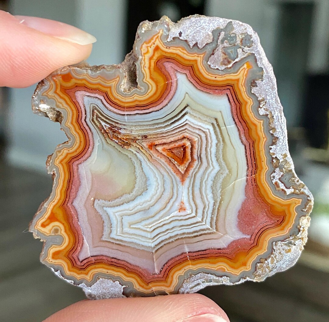 Dryhead Agate From Montana - Etsy
