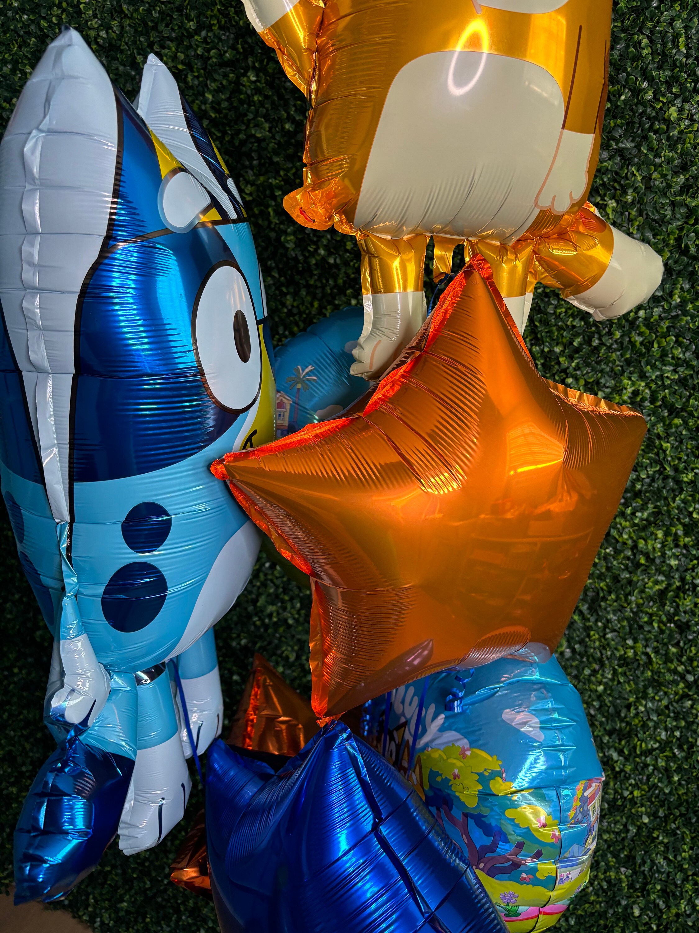 Bluey and Bingo Themed Balloon Set of 8. - Etsy