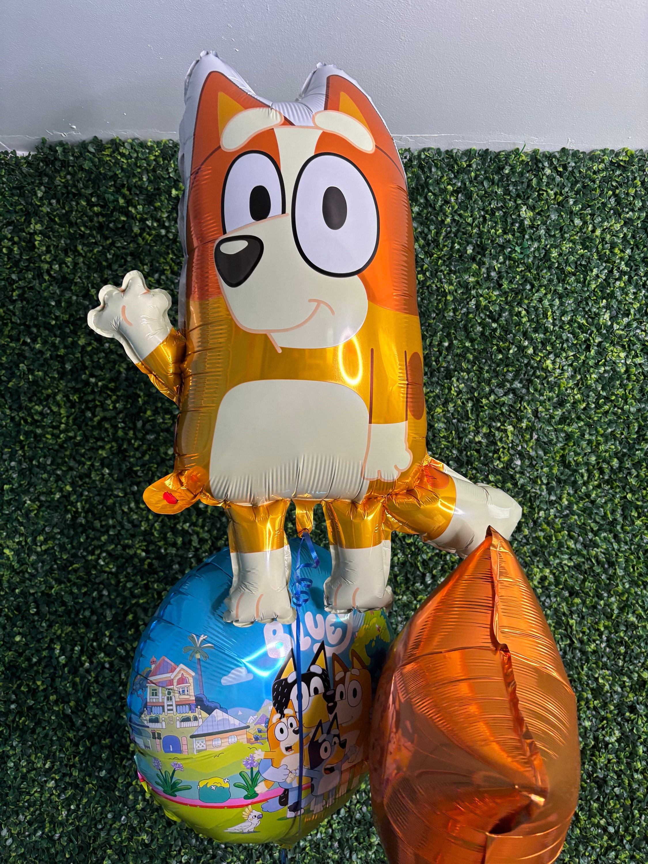 Bluey and Bingo Themed Balloon Set of 8. - Etsy