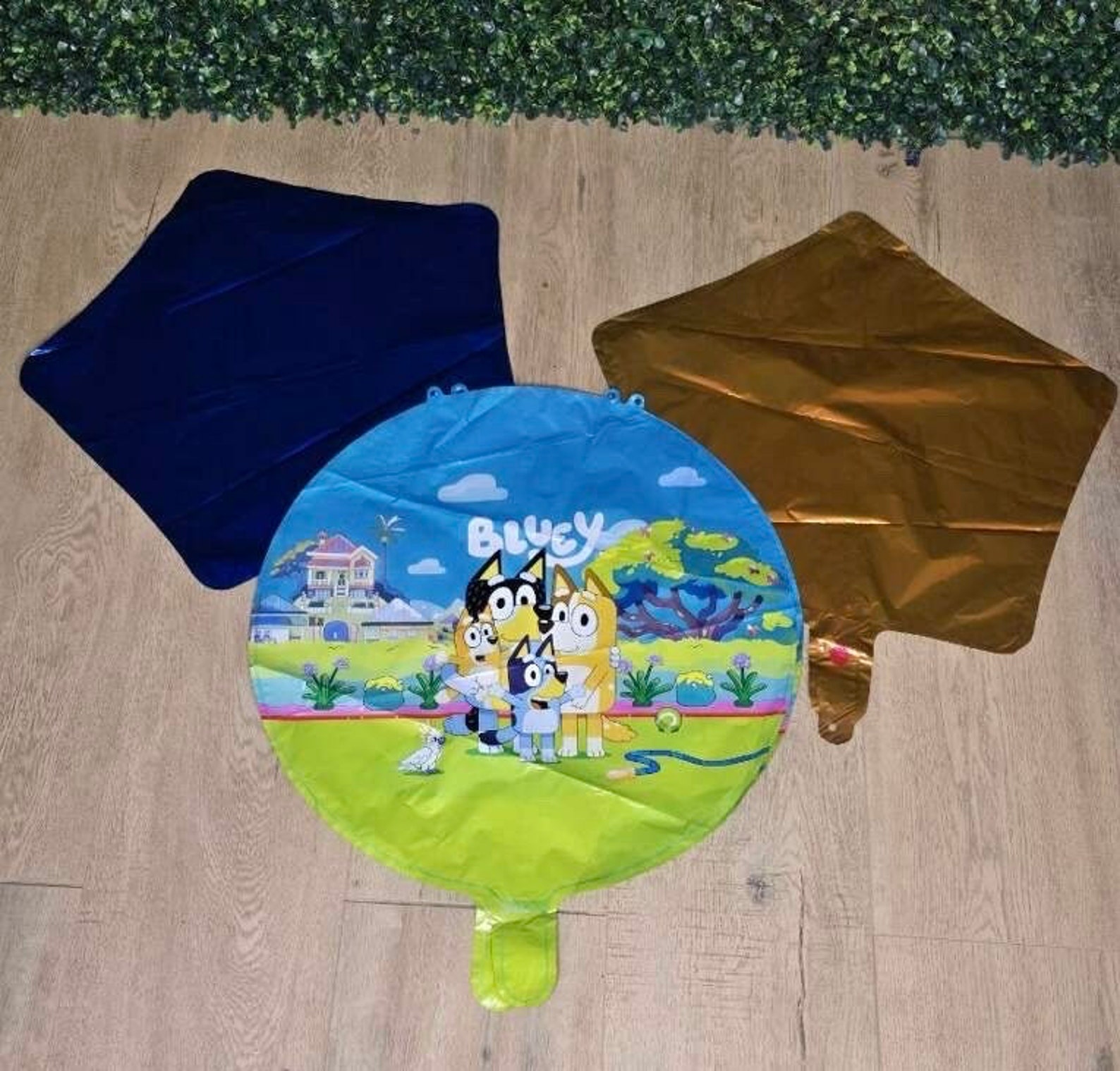 Bluey and Bingo Themed Balloon Set of 8. - Etsy