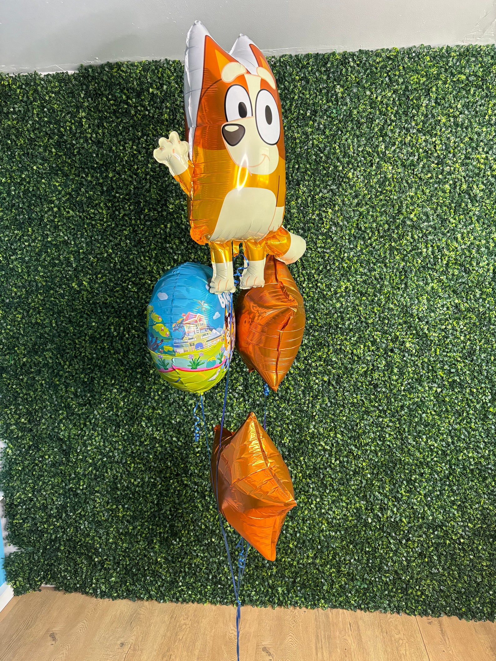 Bluey and Bingo Themed Balloon Set of 8. - Etsy