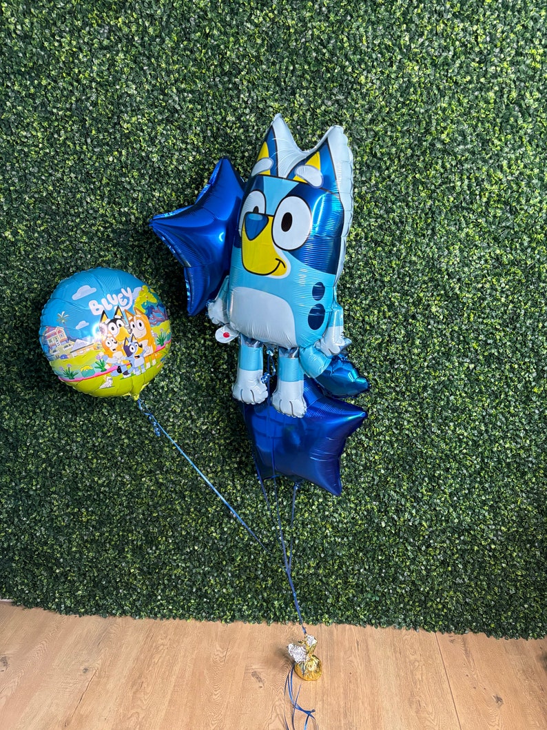 Bluey and Bingo Themed Balloon Set of 8. - Etsy
