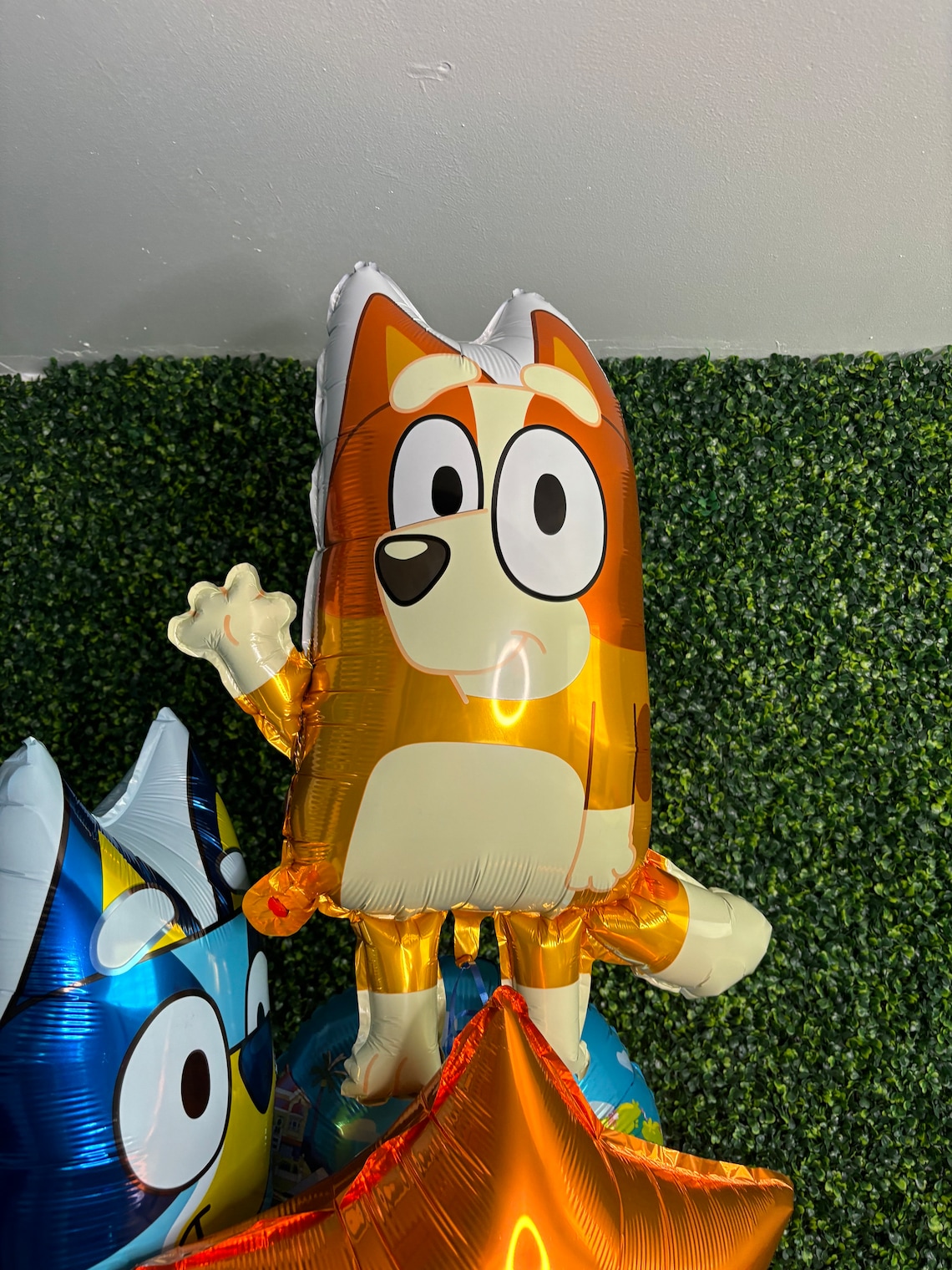 Bluey and Bingo Themed Balloon Set of 8. - Etsy