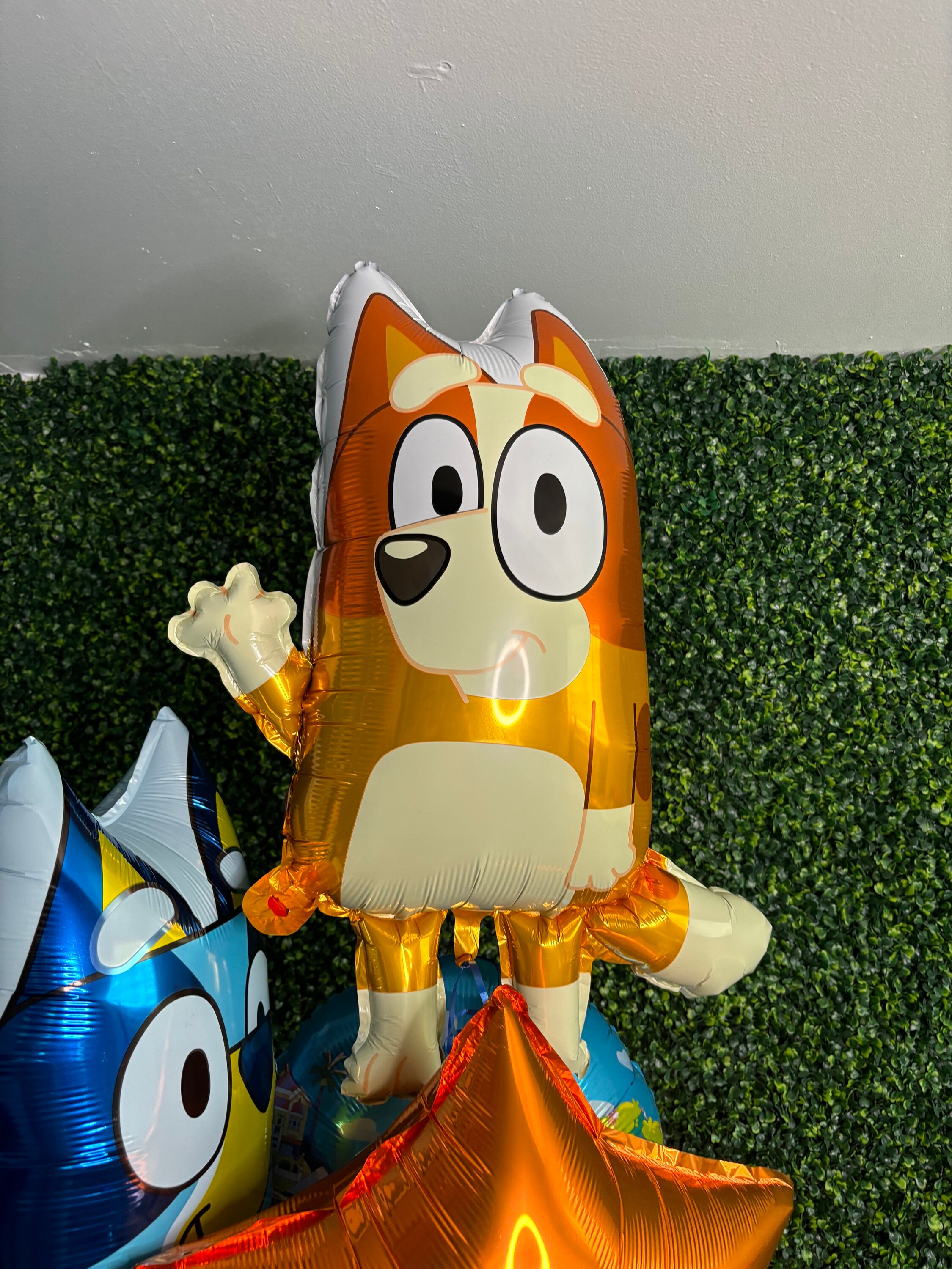 Bluey and Bingo Themed Balloon Set of 8. - Etsy