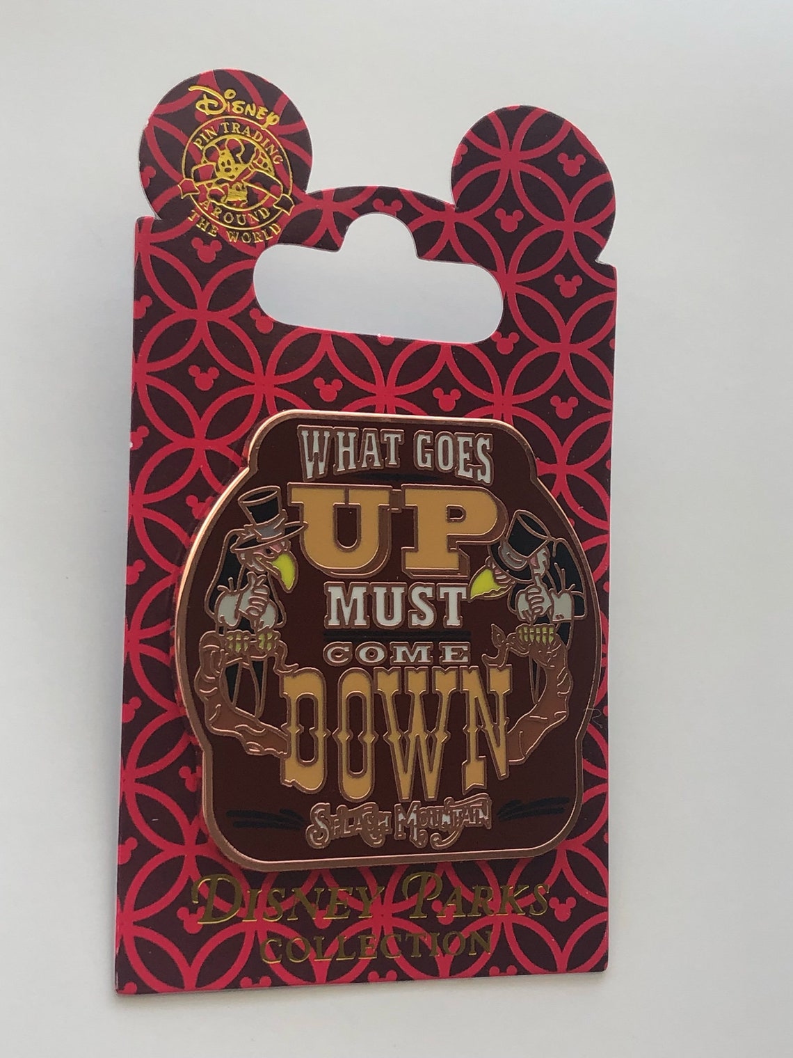 Disney's Splash Mountain Pin What Goes up Must Come Down - Etsy