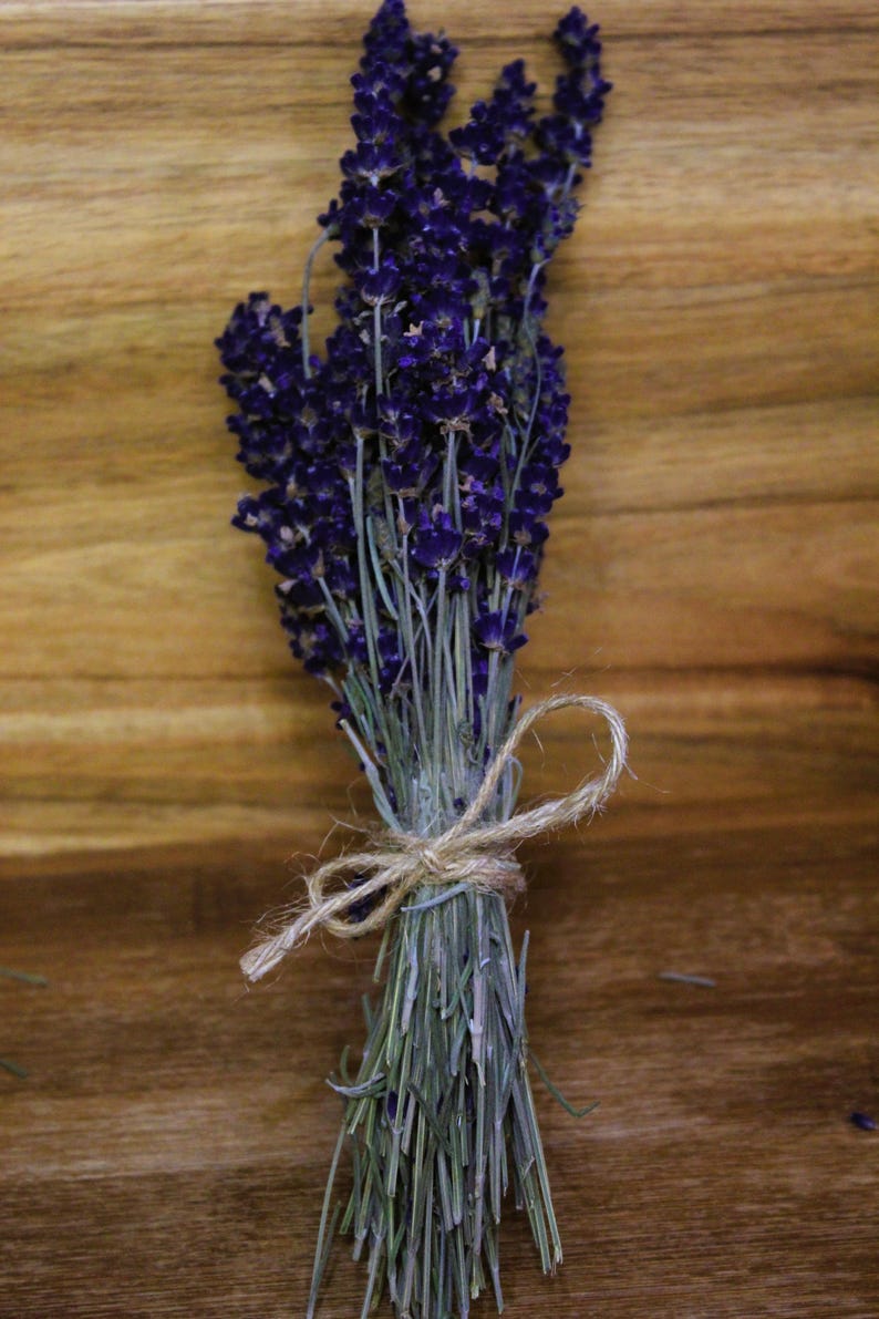 Lavender Bundle - Etsy
