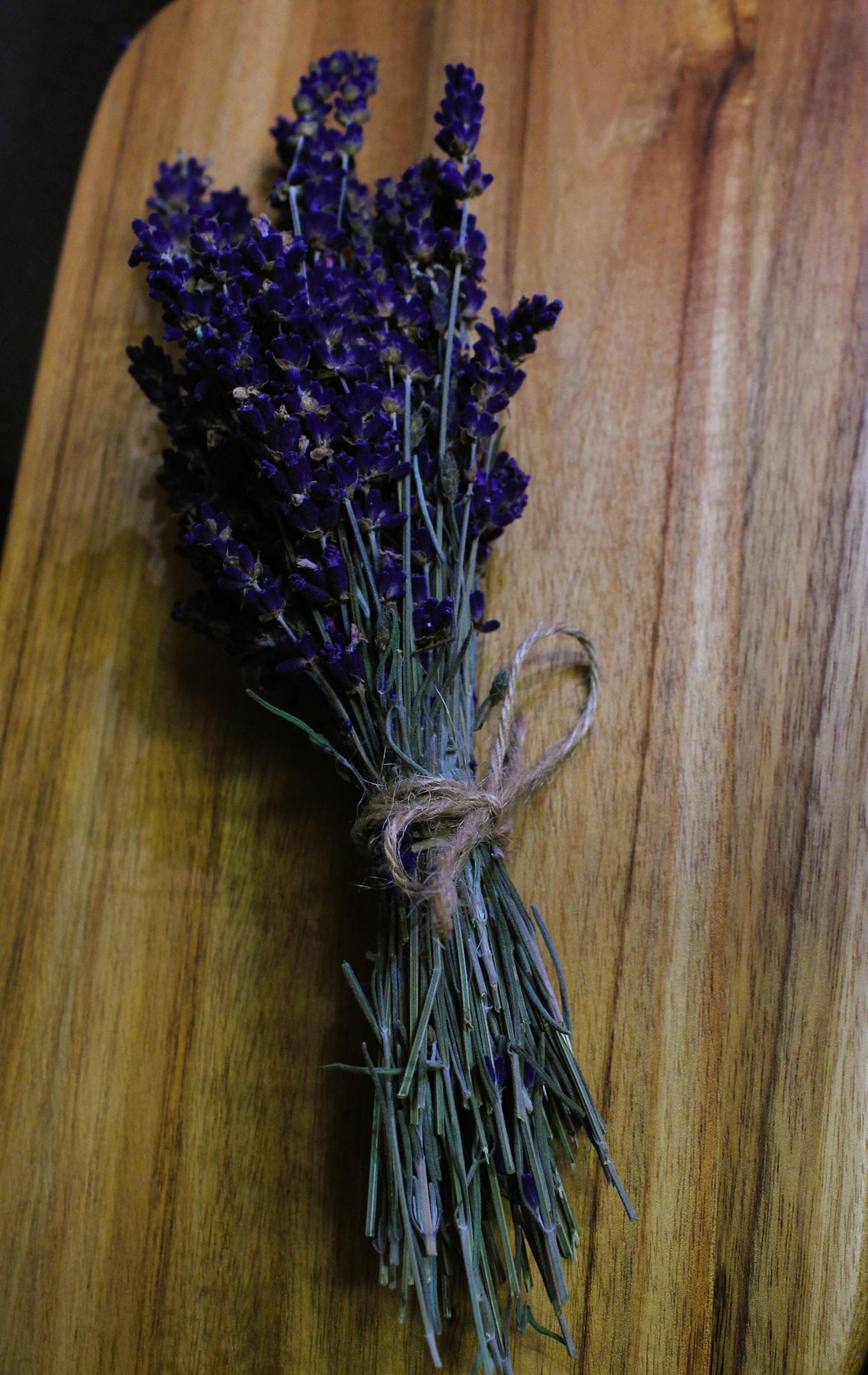 Lavender Bundle - Etsy