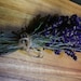 Lavender Bundle - Etsy