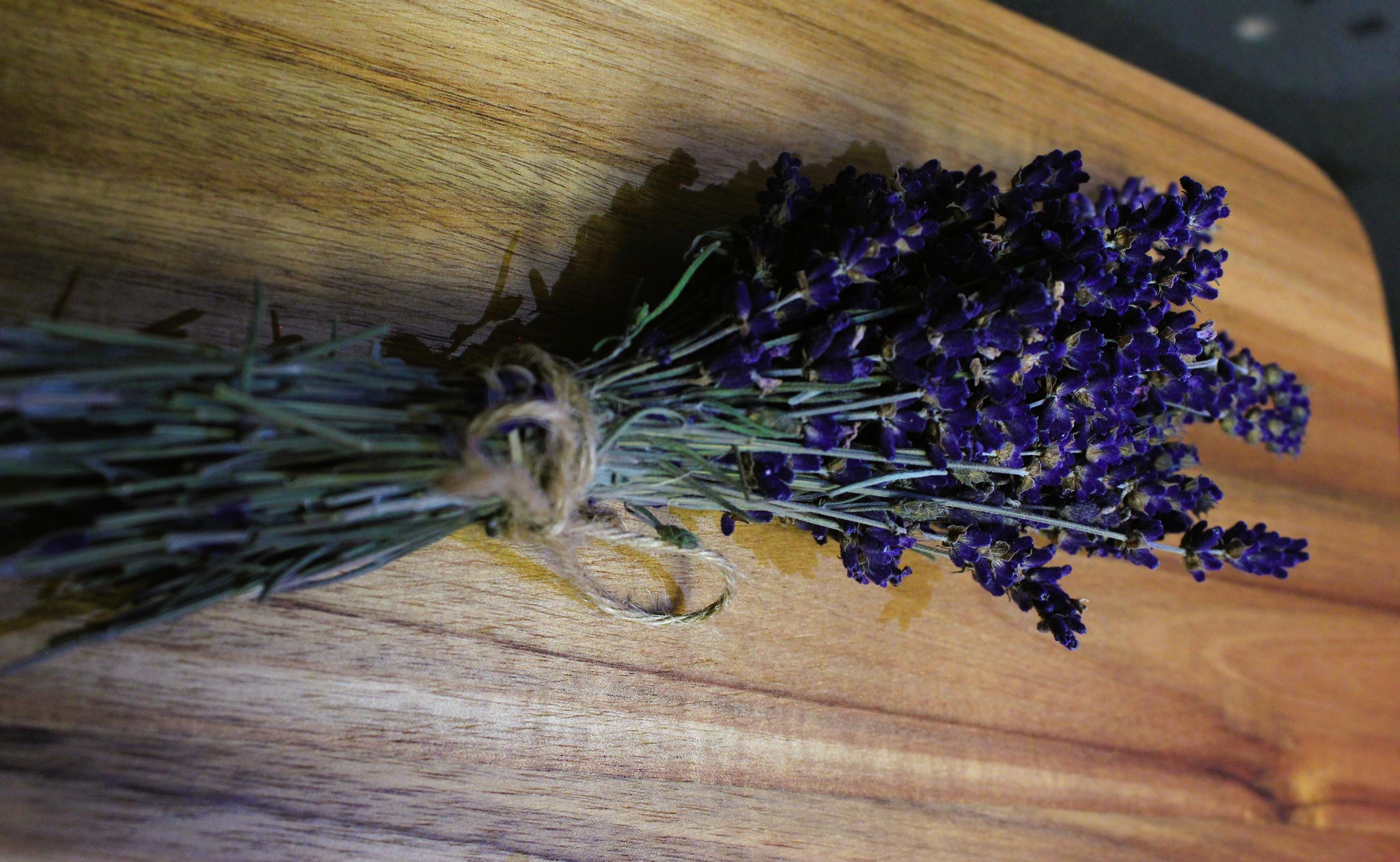 Lavender Bundle - Etsy