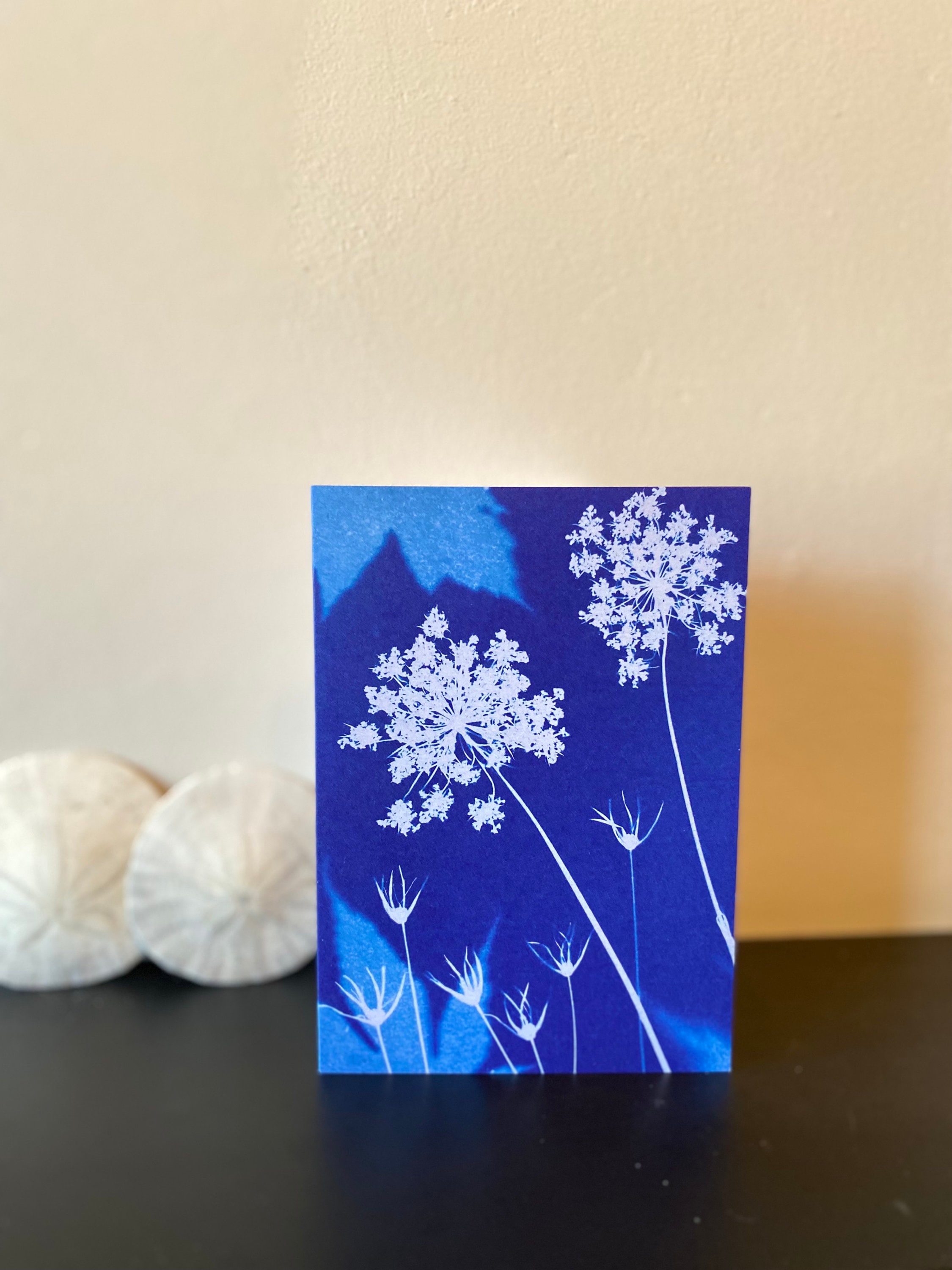 Collection of 4 Original Cyanotype Cards / Notelets - Etsy