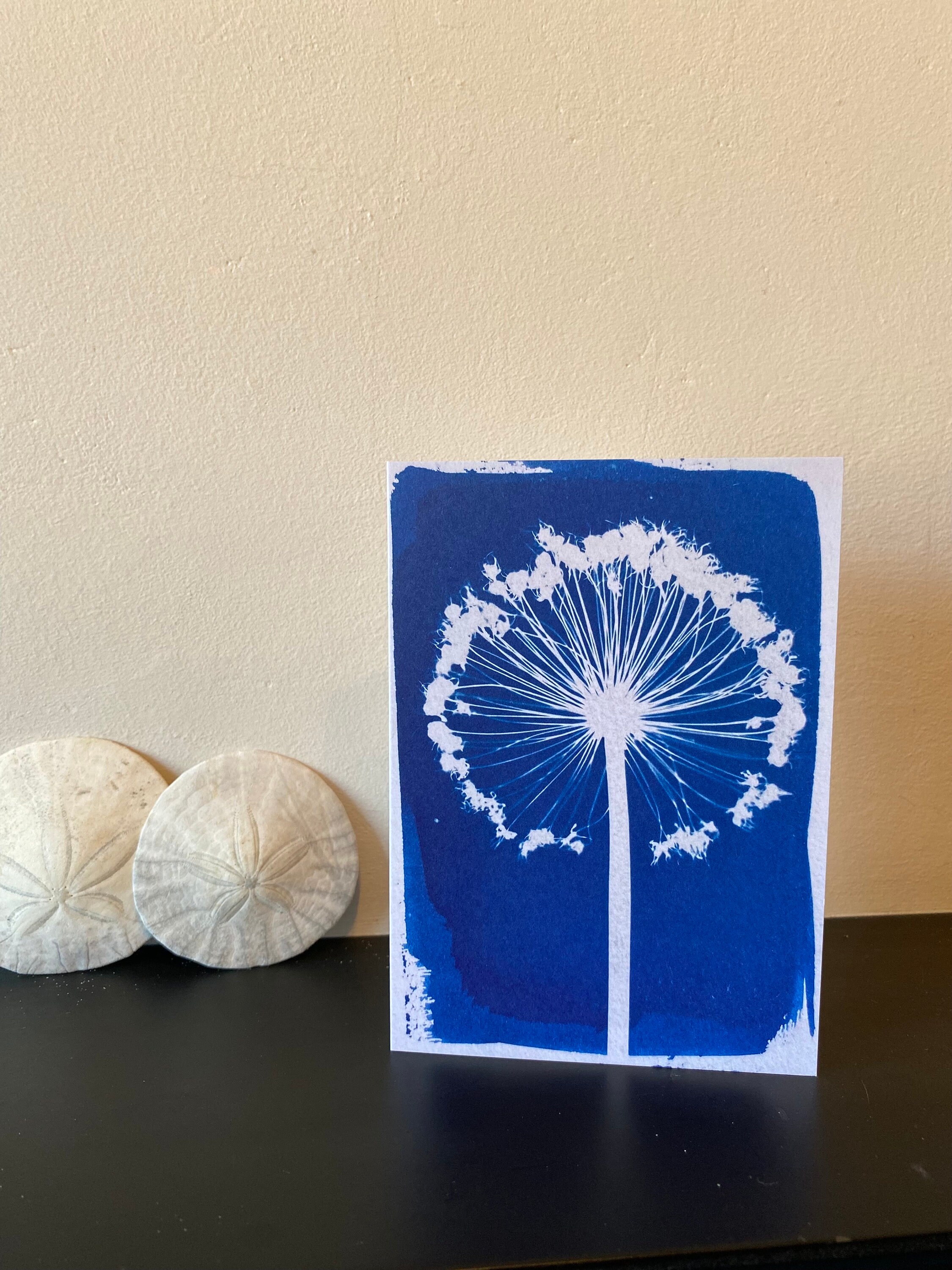 Collection of 4 Original Cyanotype Cards / Notelets - Etsy