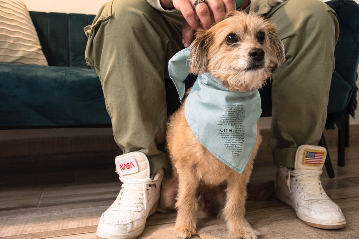 New Hampshire Svg, New Hampshire Cities, New Hampshire Art, USA Svg ...