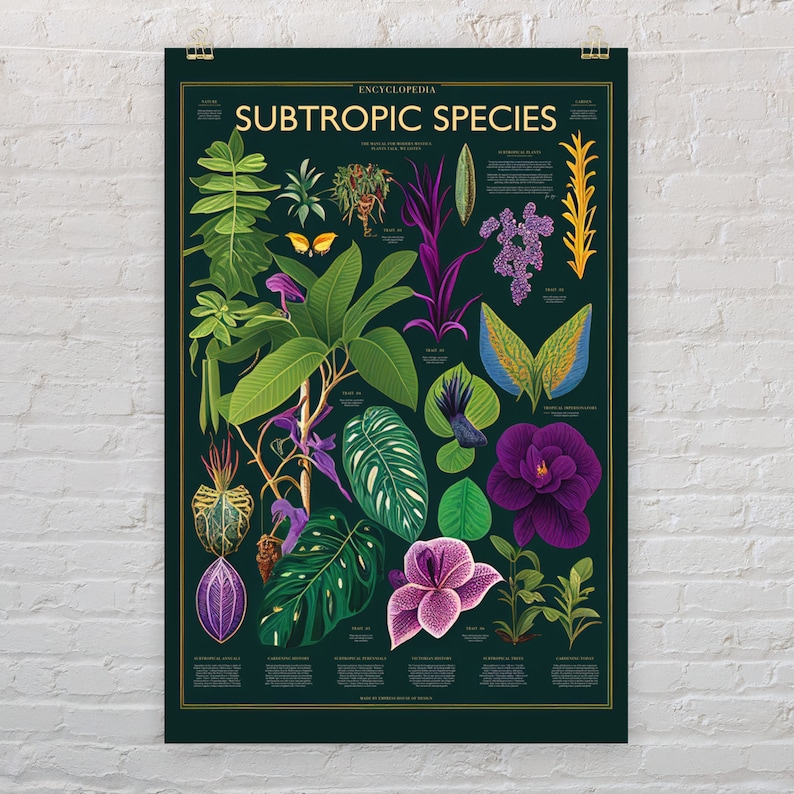 Subtropic Species Botanic Chart, English Botanical Chart, Rare ...