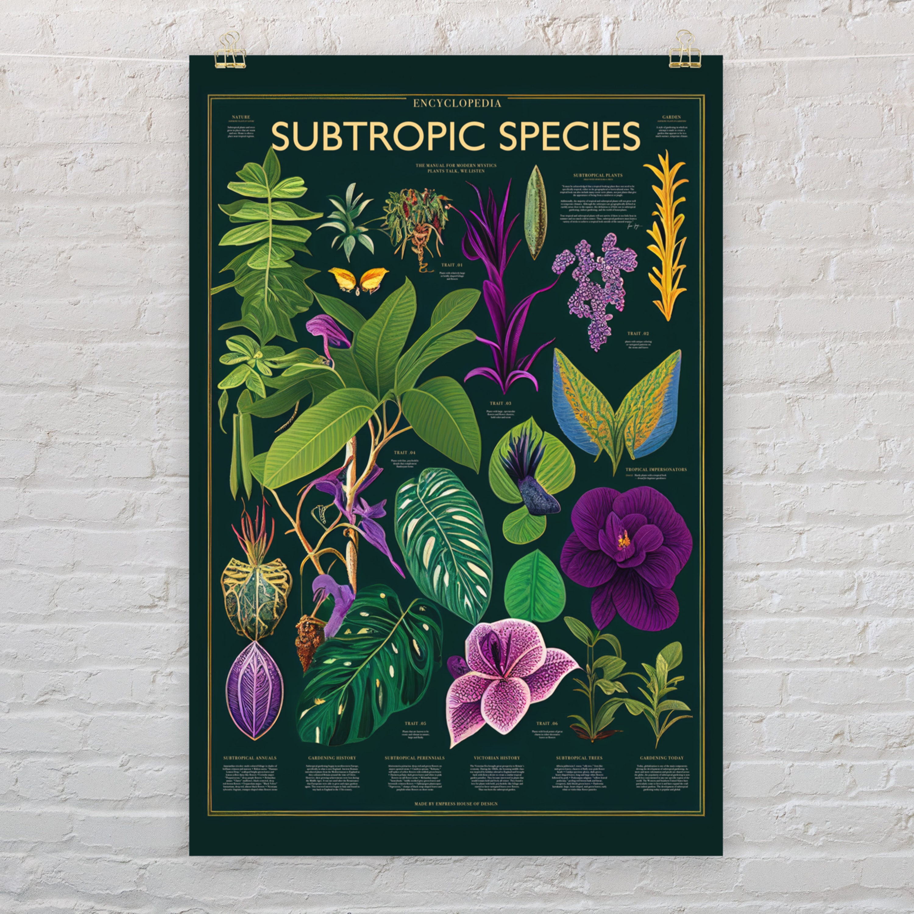Subtropic Species Botanic Chart, English Botanical Chart, Rare ...