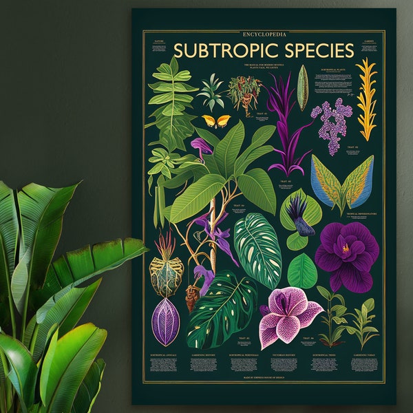 Rare House Plant Poster - Etsy