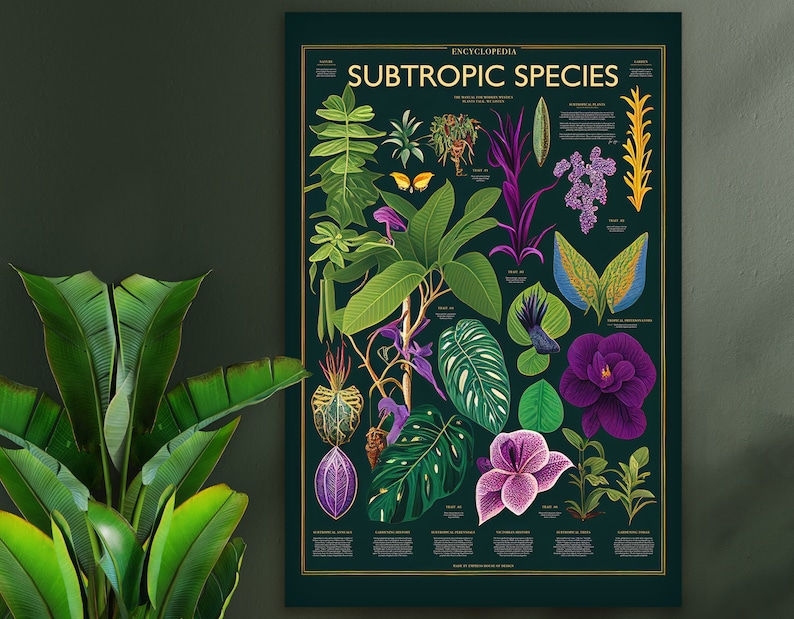 Subtropic Species Botanic Chart, English Botanical Chart, Rare ...