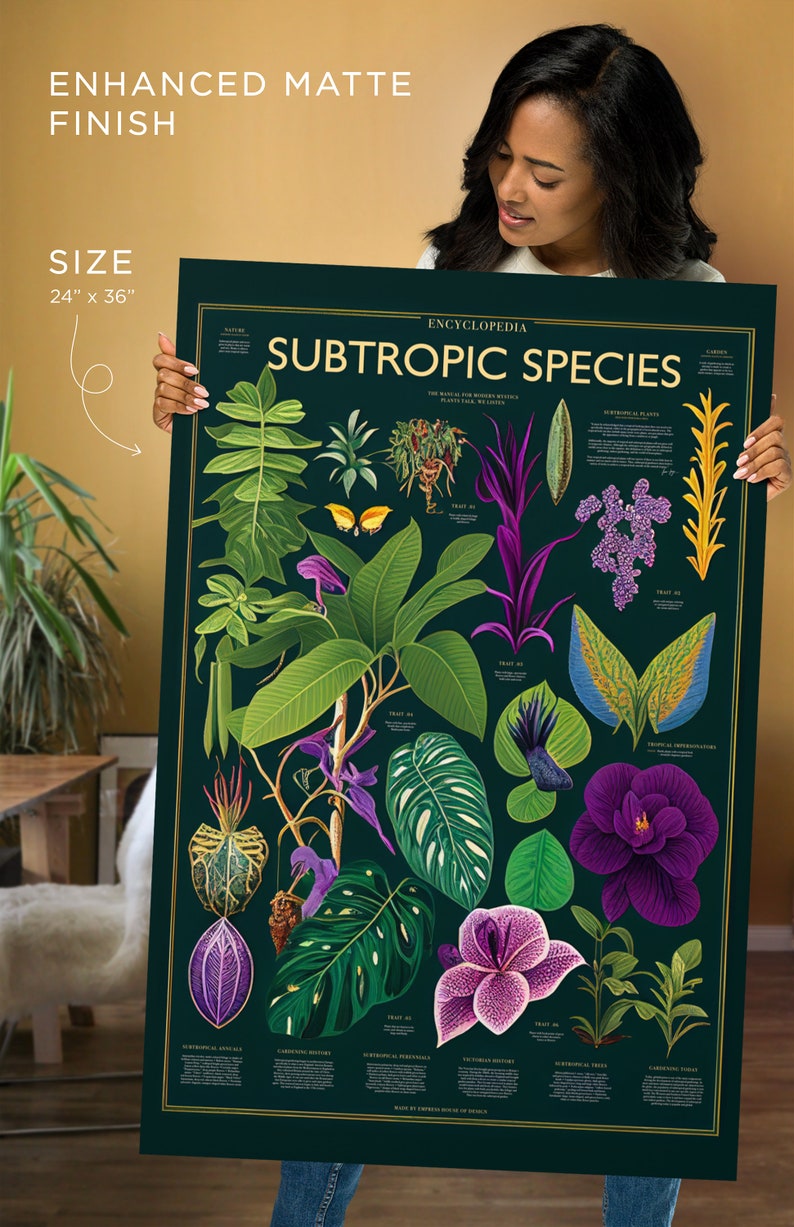 Subtropic Species Botanic Chart, English Botanical Chart, Rare ...