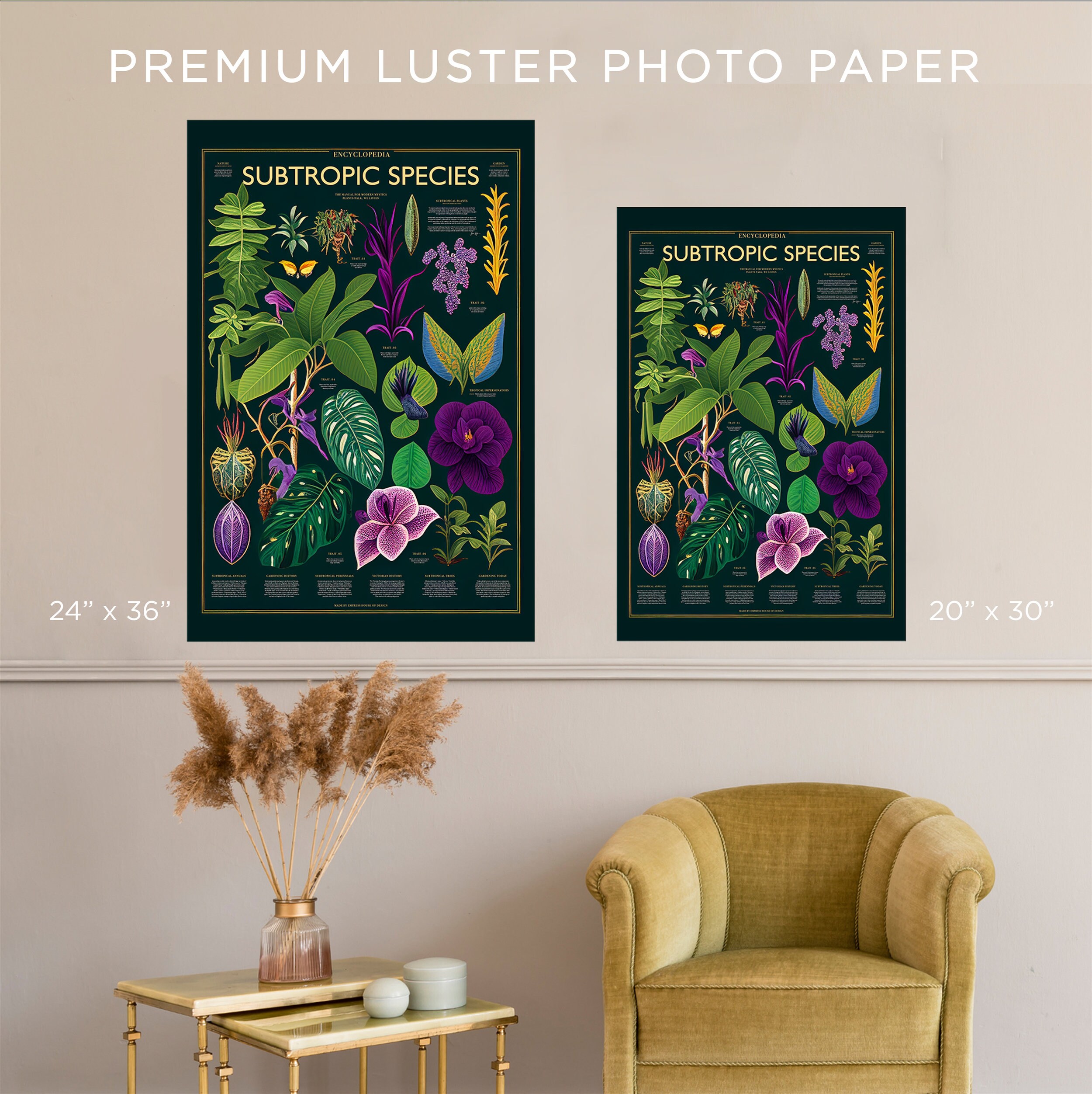 Subtropic Species Botanic Chart, English Botanical Chart, Rare ...