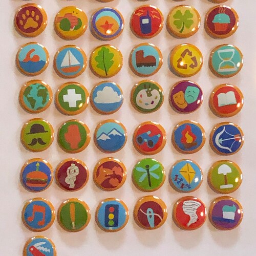 Wilderness Explorer Badges 1 Inch - Etsy
